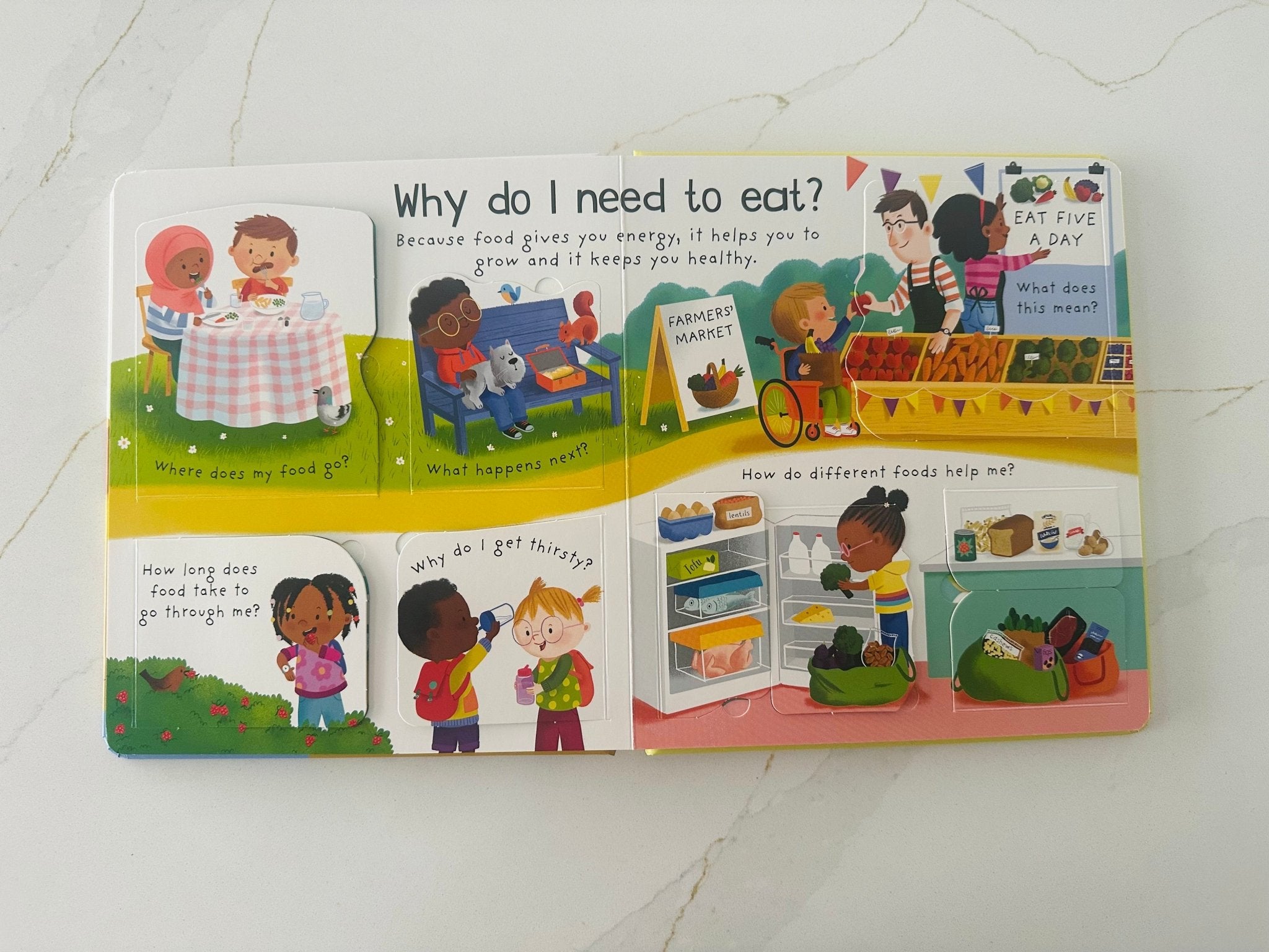 How Does My Body Work?: Lift-the-Flap First Questions and Answers ...